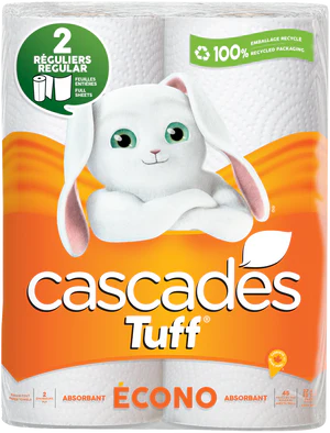 Cascades Tuff Econo Paper Towels 2-Ply 45 Sheets 2 Regular Rolls 24 Pc ...