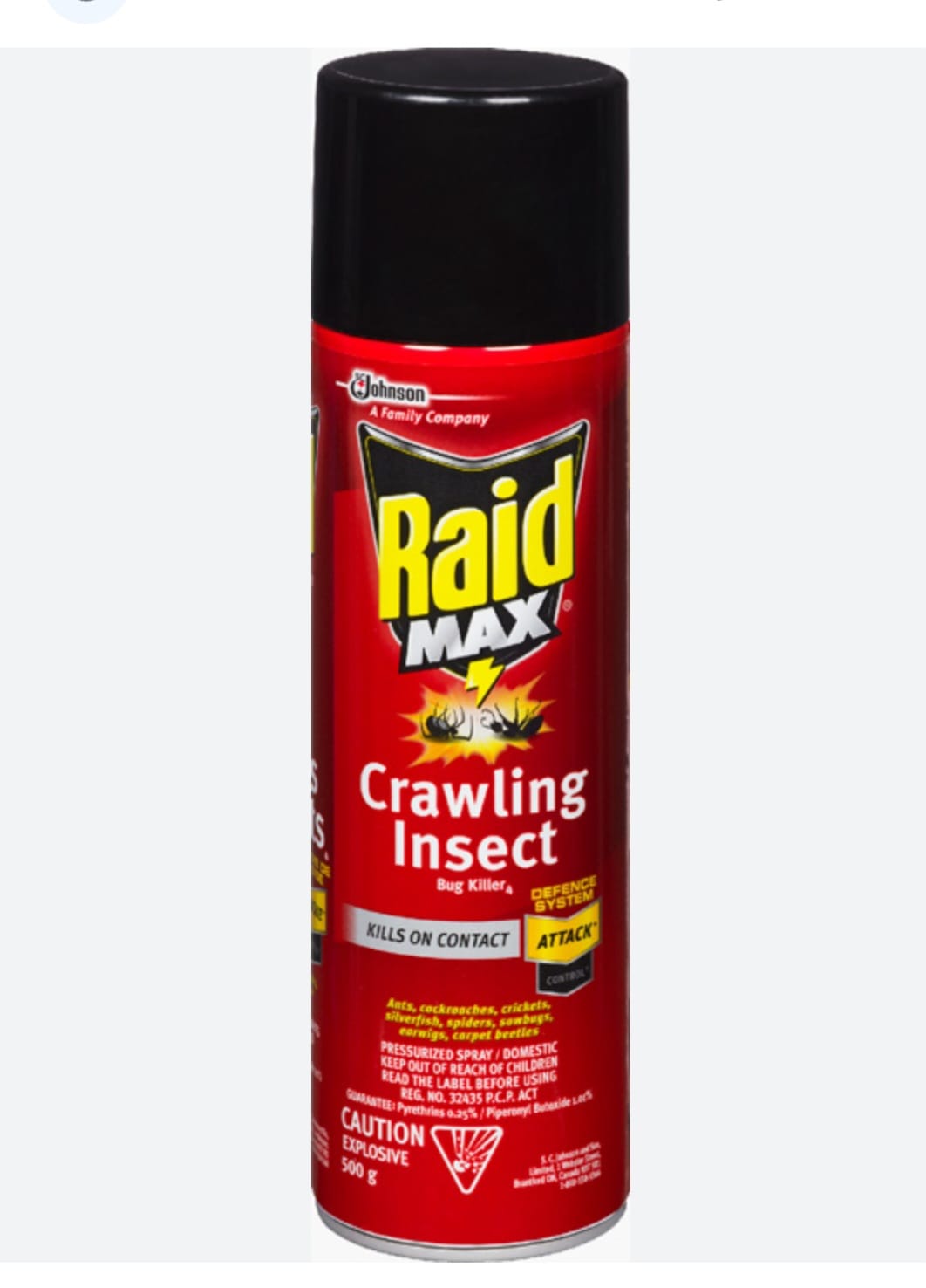 Raid Max Crawling Insect Killer (500g) – Zoom-X International