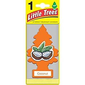 Little Trees Coconut 24ct in pack – Zoom-X International